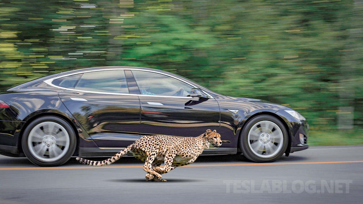 Model S Performance is now a 2.3s car with more thermal endurance ...