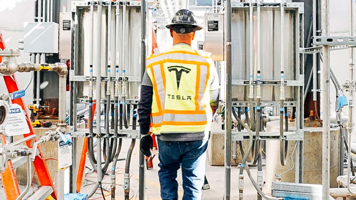 Tesla has sued Alameda County, releases detailed 'Return to Work ...