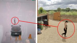 Testing Tesla Autopilot's ability to detect humans, objects and signs ...