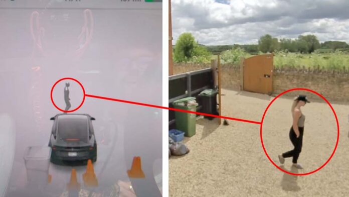 Testing Tesla Autopilot's ability to detect humans, objects and signs ...