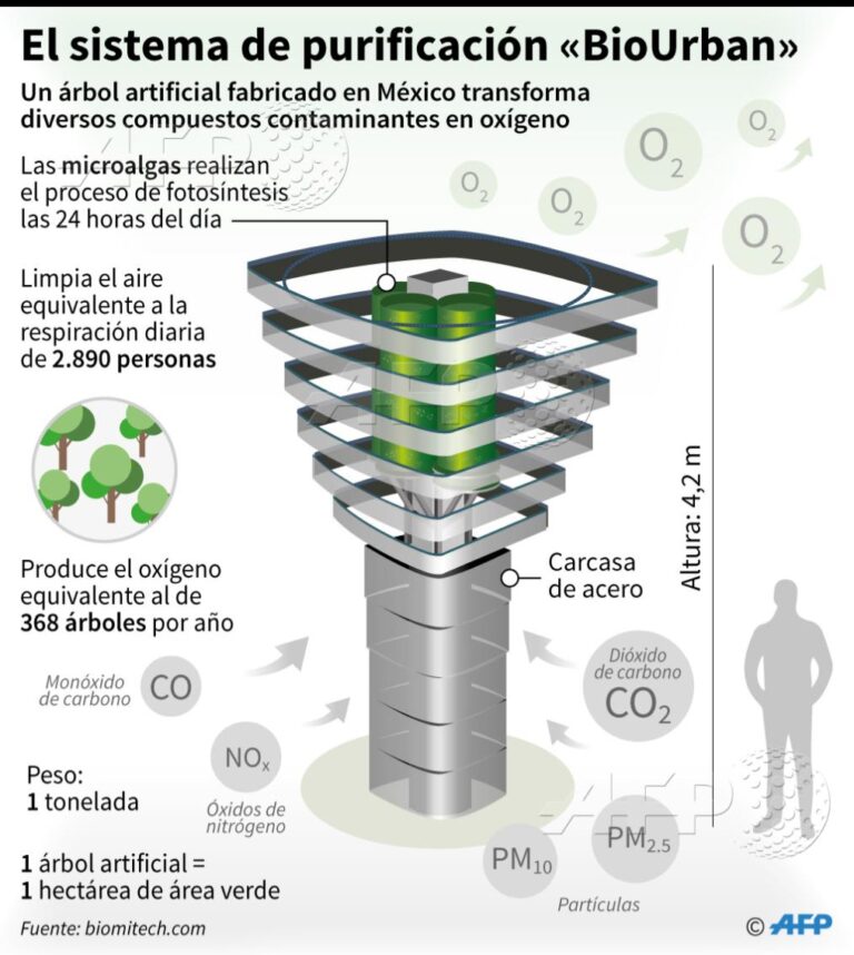 Elon Musk is donating $100M for the best carbon capture technology ...
