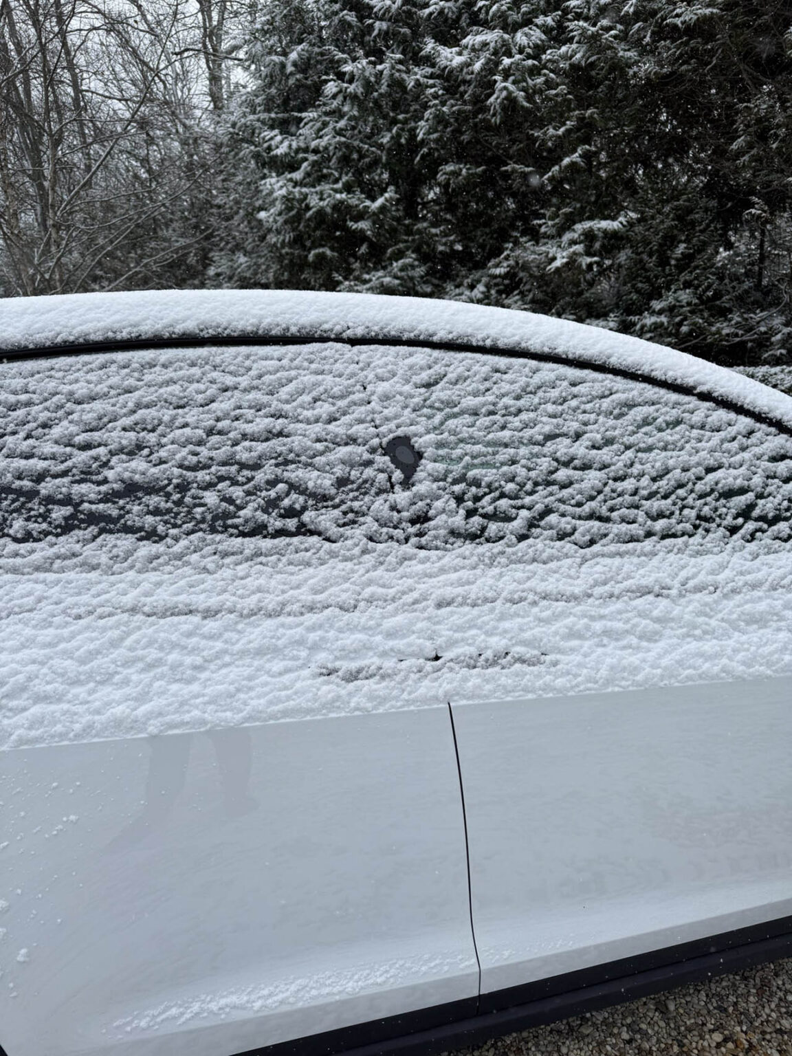 Tesla HW4 cameras can melt snow to clear the Autopilot FSD Vision ...