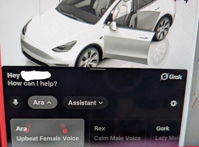 Hacker leaks Tesla Grok UI, voice types, personas, modes, HW3 ...